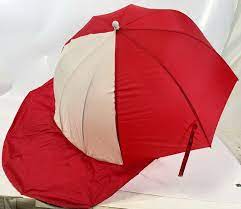 Shop Baseball Hat Umbrella at Ashby Lumber | PERSONAL ACCESSORIES
