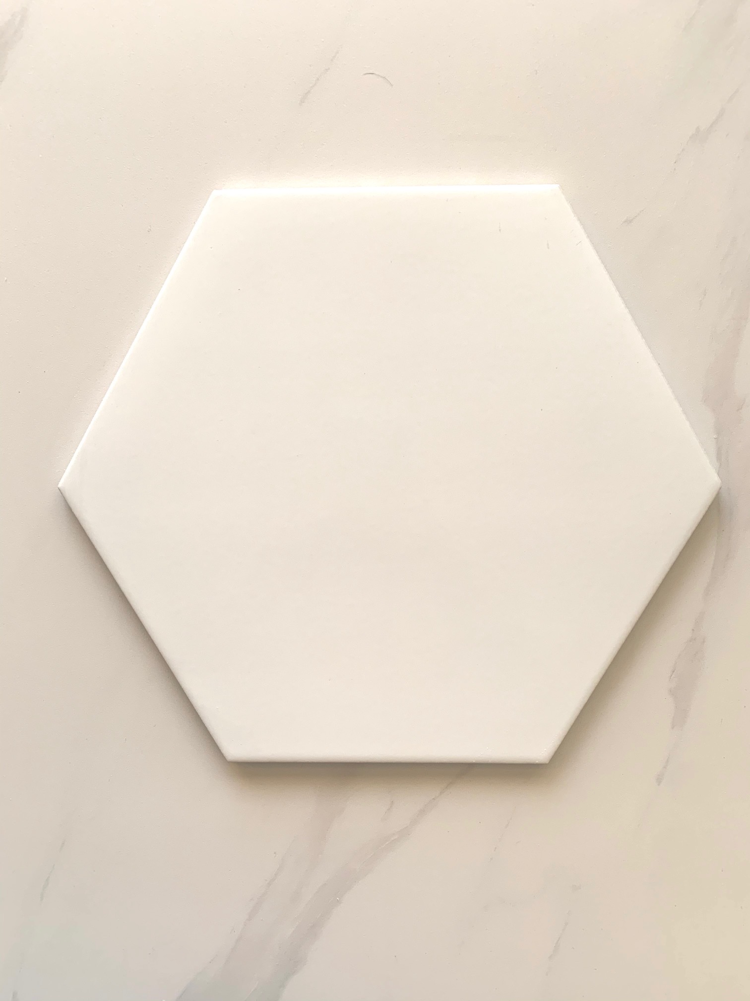 Shop 10x10" Hexagon Porcelain Tile - White - (Price Per Square Foot) at ...